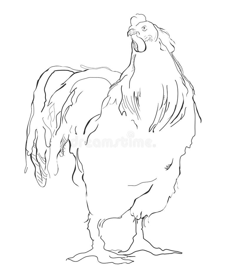 Chicken Fight Stock Illustrations – 1,363 Chicken Fight Stock ...