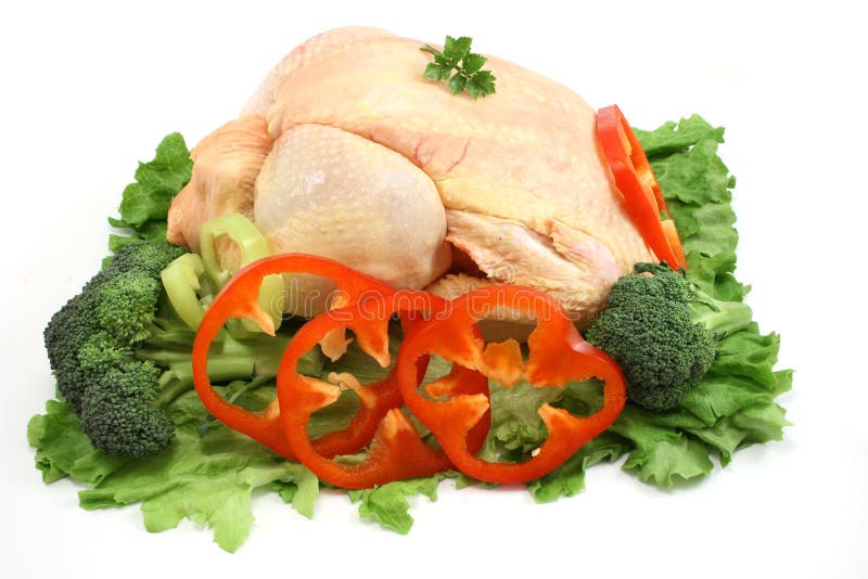 Big chicken stock image. Image of cook, focused, delicious - 2068859