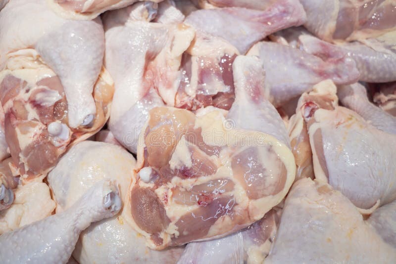 Chicken on Abstract Background Stock Photo - Image of poultry ...