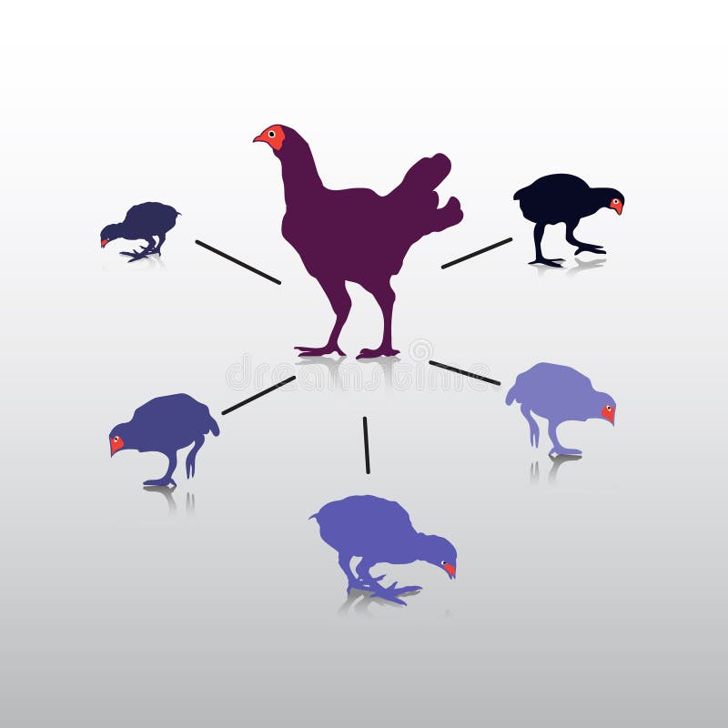 Chicken action stock vector. Illustration of silhouette - 57783300