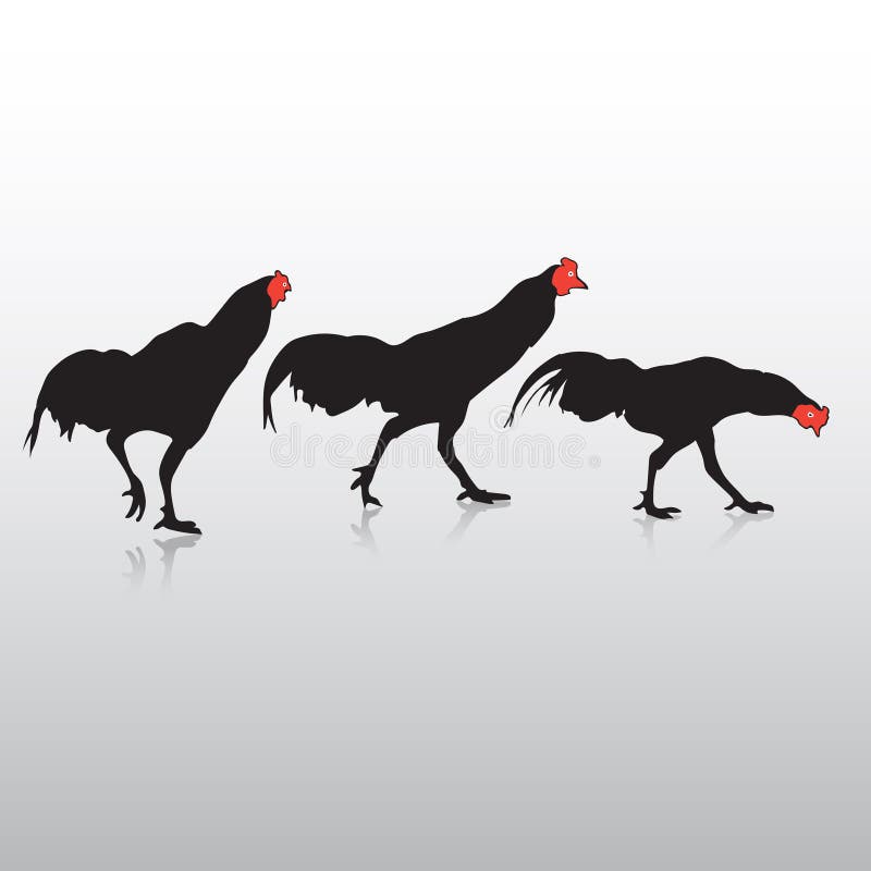 Chicken action stock vector. Illustration of rooster - 57783648