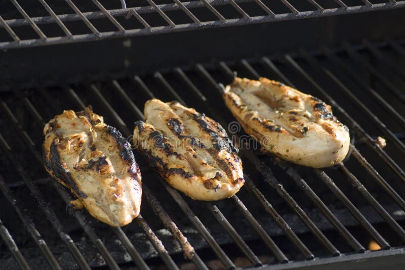 Cooking Barbecue Chicken Breast Stock Photo - Image of meal, grilled ...