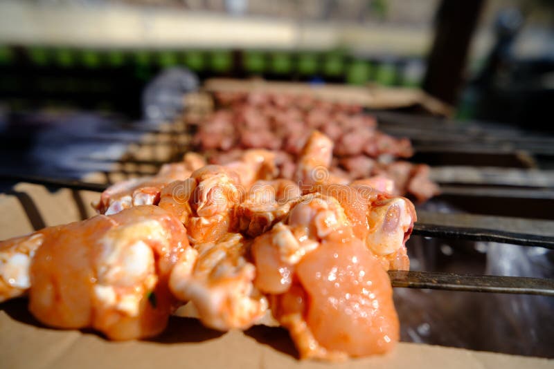 Chicken barbeque stock photo. Image of grill, sauce - 259811010