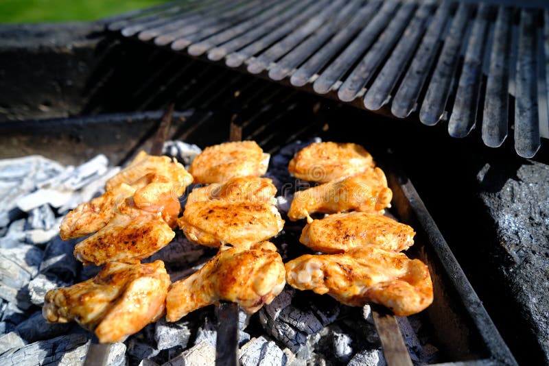 Chicken barbeque stock photo. Image of flame, picnic - 259811118