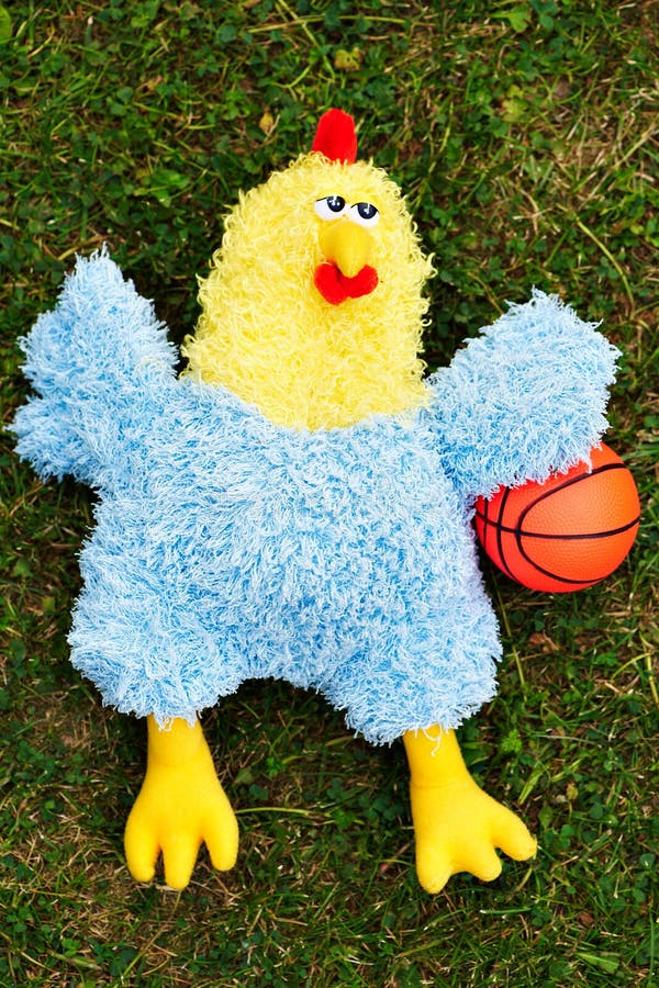 Chicken basketball stock photo. Image of blue, competition - 15624560