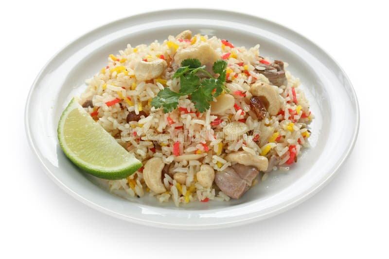 Biryani stock photo. Image of dinner, food, colorful, florets - 4600538