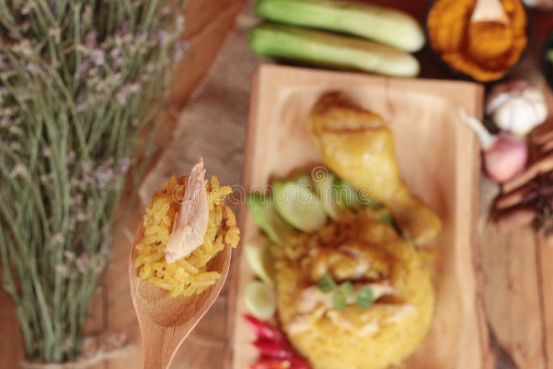 Chicken Biryani with Rice Delicious and Sauce. Stock Image - Image of ...