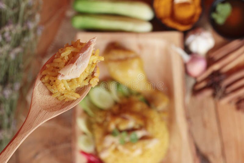 Chicken Biryani with Rice Delicious and Sauce. Stock Image - Image of ...