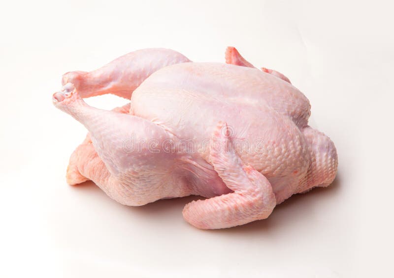 Chicken body stock photo. Image of healthy, delicious - 48091022