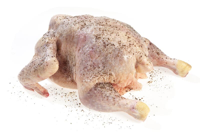Chicken body stock photo. Image of healthy, background - 48091024