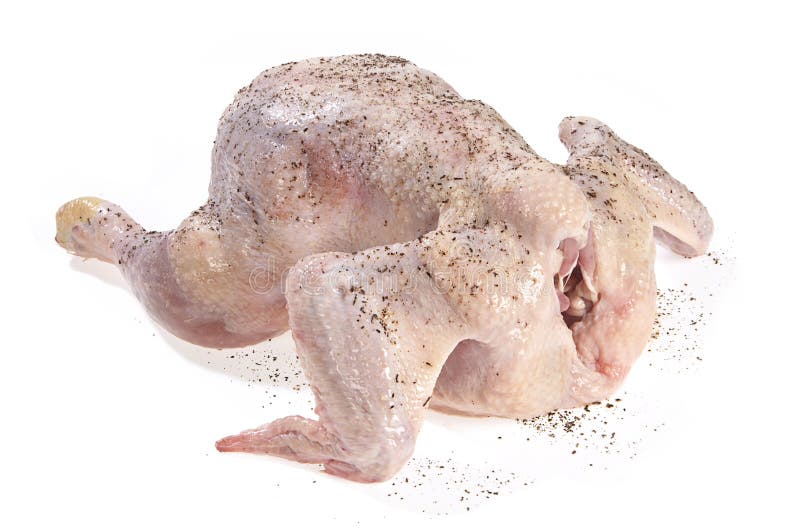 Chicken body stock photo. Image of healthy, delicious - 48091022