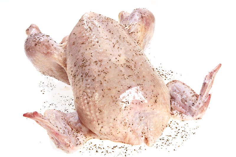 Chicken Body Ready for Cooking Stock Image - Image of bird, food: 23419293
