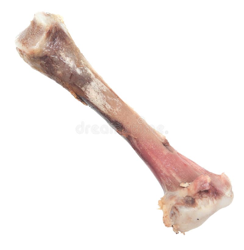 Chicken Bone Isolated Stock Images - Download 2,143 Royalty Free Photos
