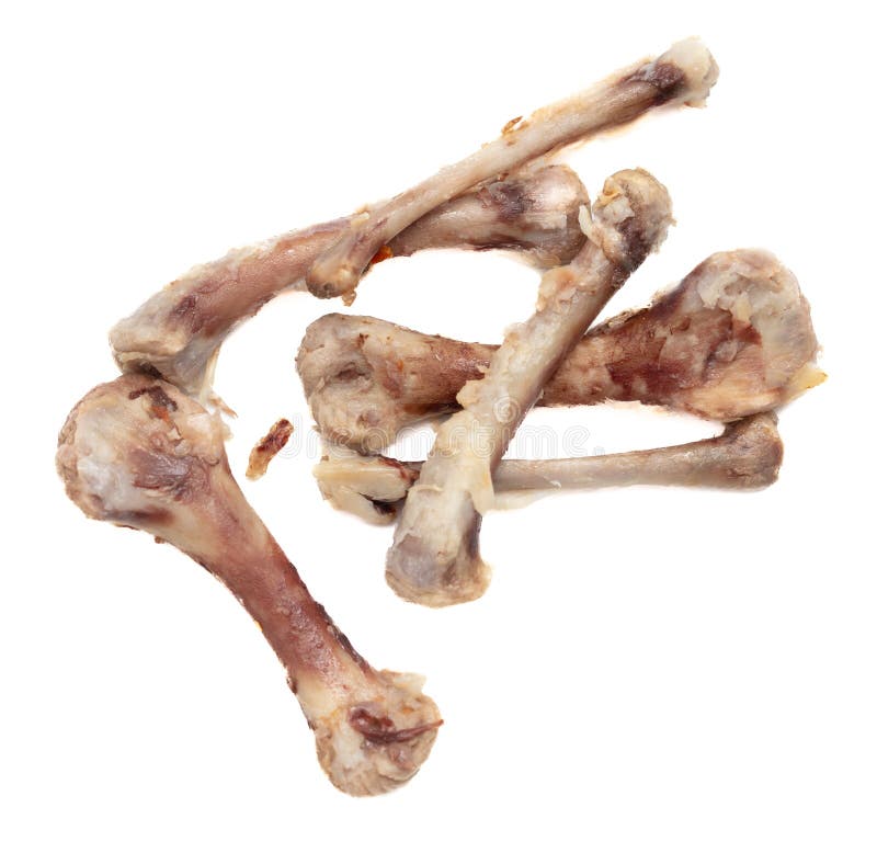 Chicken Bone Isolated on White Background. Close-up Stock Photo - Image ...