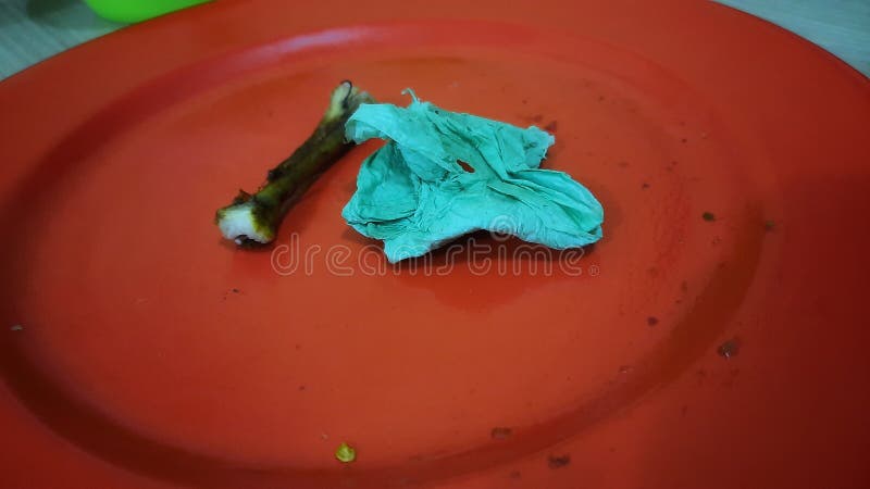 Chicken bone and tissue stock photo. Image of vegetable - 228367178