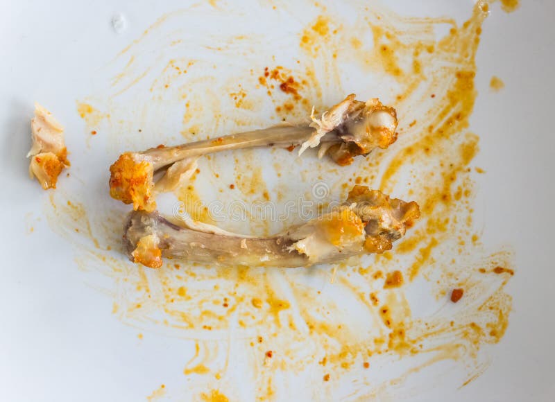 Chicken bone stock image. Image of animal, poultry, bird - 56404903