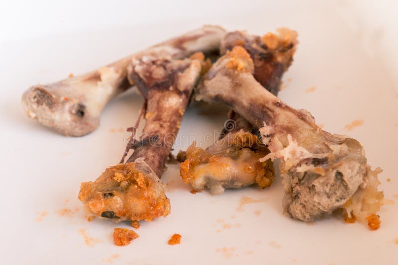 Chicken Bone on White Plate Stock Image - Image of grilling, cuisine ...