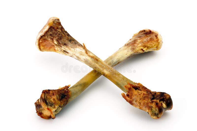 Chicken bones stock image. Image of hard, chicken, calcium - 1985207