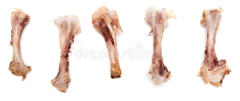 Chicken bones stock image. Image of meat, skeleton, drink - 129608045