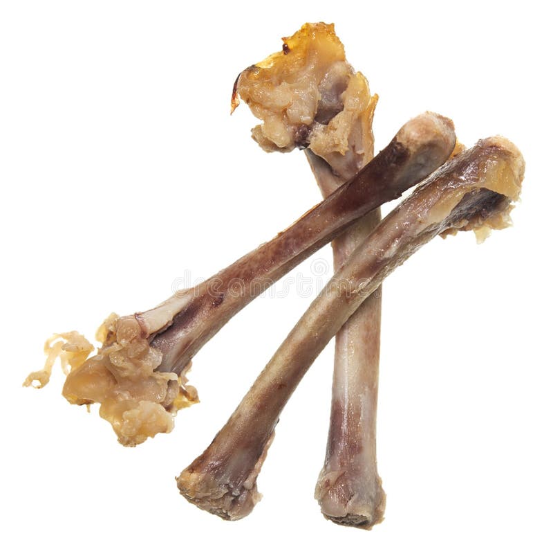 Poultry Anatomy Stock Photos - Free & Royalty-Free Stock Photos from ...