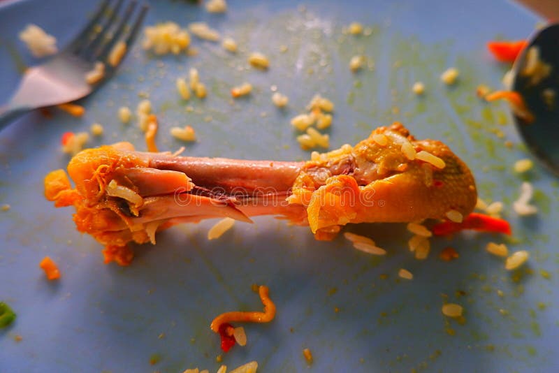 Chicken bones stock photo. Image of chicken, bone, grilled - 266244248