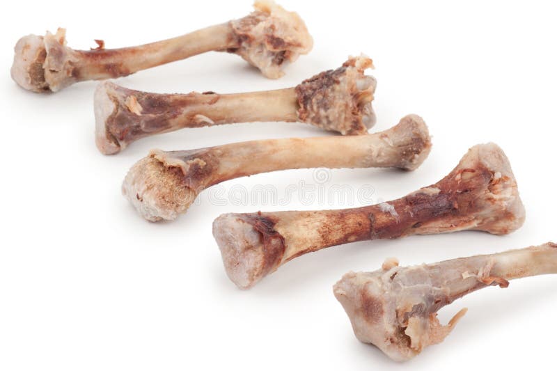 Chicken bones stock image. Image of meat, skeleton, drink - 129608045