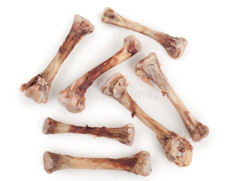 Chicken bones stock image. Image of hard, chicken, calcium - 1985207
