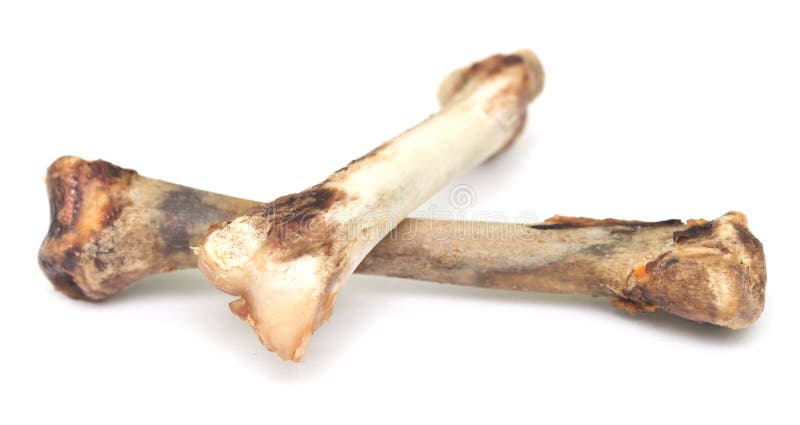 Chicken bones stock photo. Image of bone, chicken, thigh - 58459292