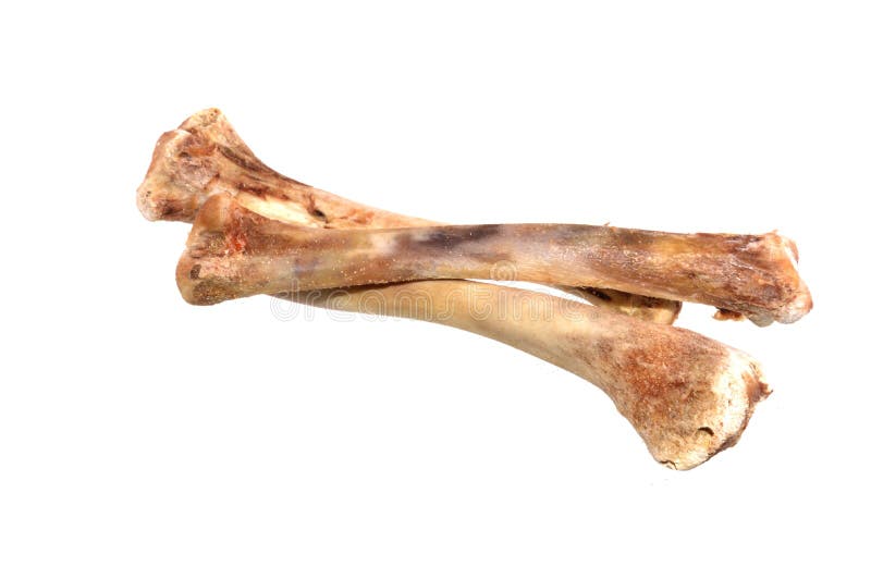 Chicken Bones Isolated on White Background Stock Image - Image of chuck ...