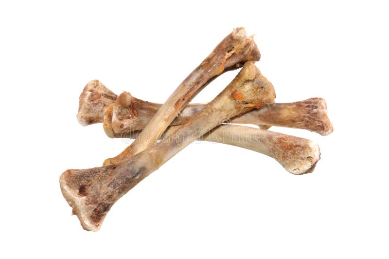 Chicken Bones Isolated on White Background Stock Image - Image of chuck ...