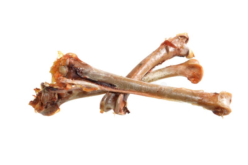 Chicken Bones Isolated on White Background Stock Photo - Image of ...