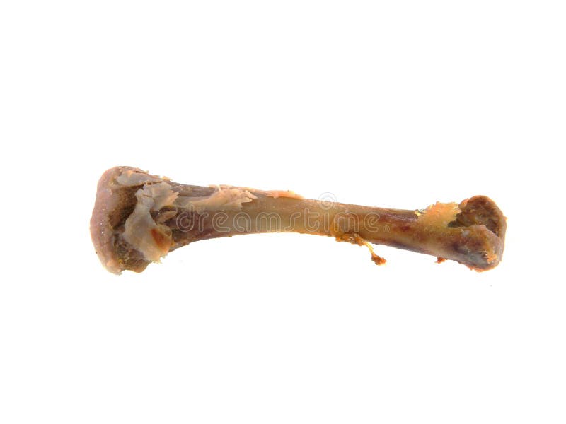 Chicken Bones Isolated on White Background Stock Image - Image of grill ...