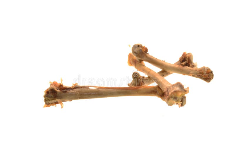 Chicken Bones Isolated on White Background Stock Image - Image of chuck ...