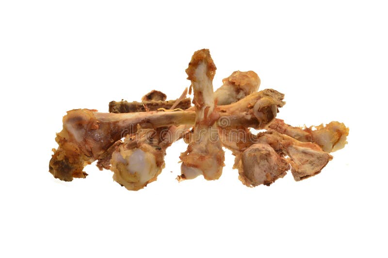 Chicken Bones Isolated on White Background Stock Photo - Image of bird ...