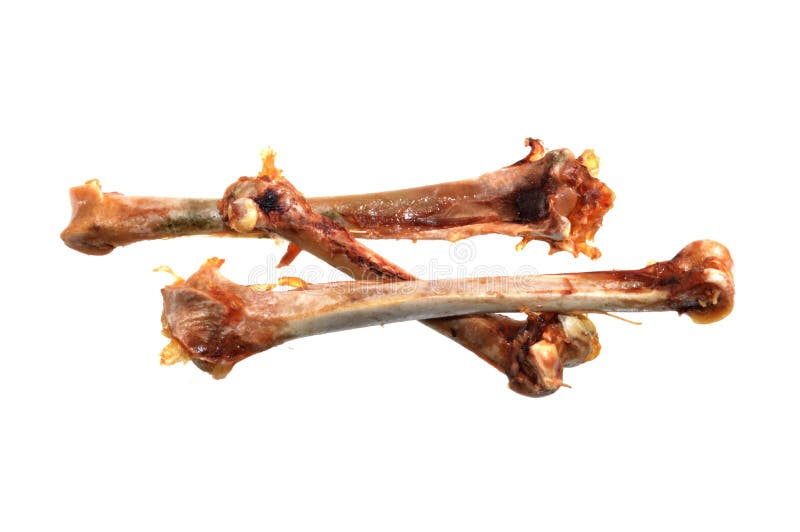 Chicken Bones Isolated on White Background Stock Image - Image of ...