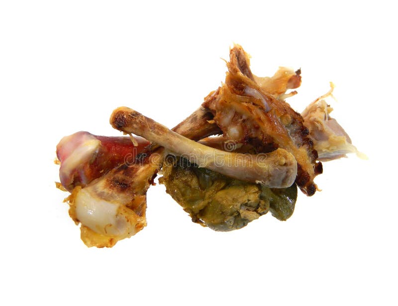 Chicken Bones Isolated on White Background Stock Image - Image of grill ...