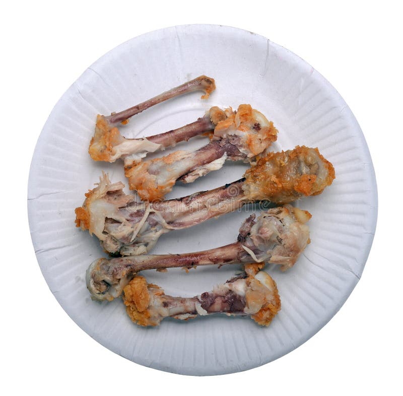 Chicken Bones Isolated on White Background Stock Photo - Image of ...
