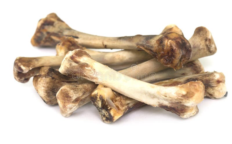 Chicken bones stock image. Image of shot, animal, fried - 58459335