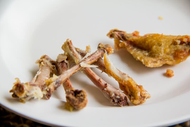 Chicken bones view. stock image. Image of meat, close - 57893339