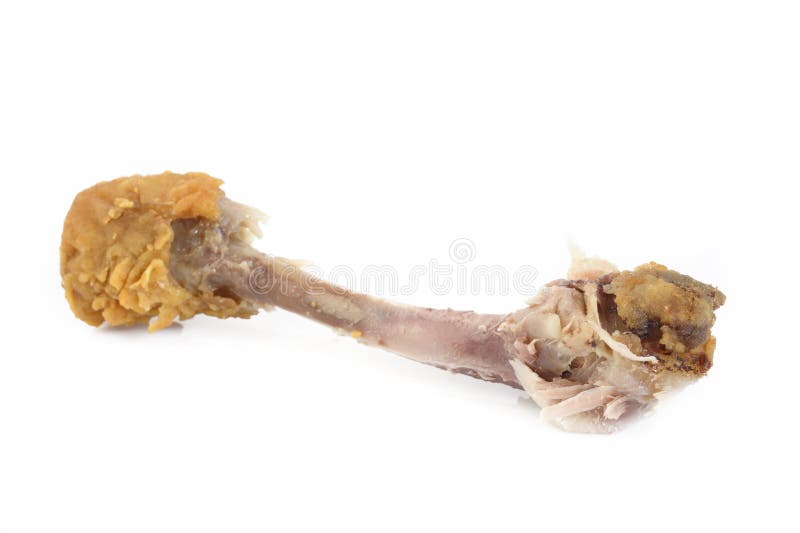Chicken bones stock image. Image of food, snack, meat - 70534893