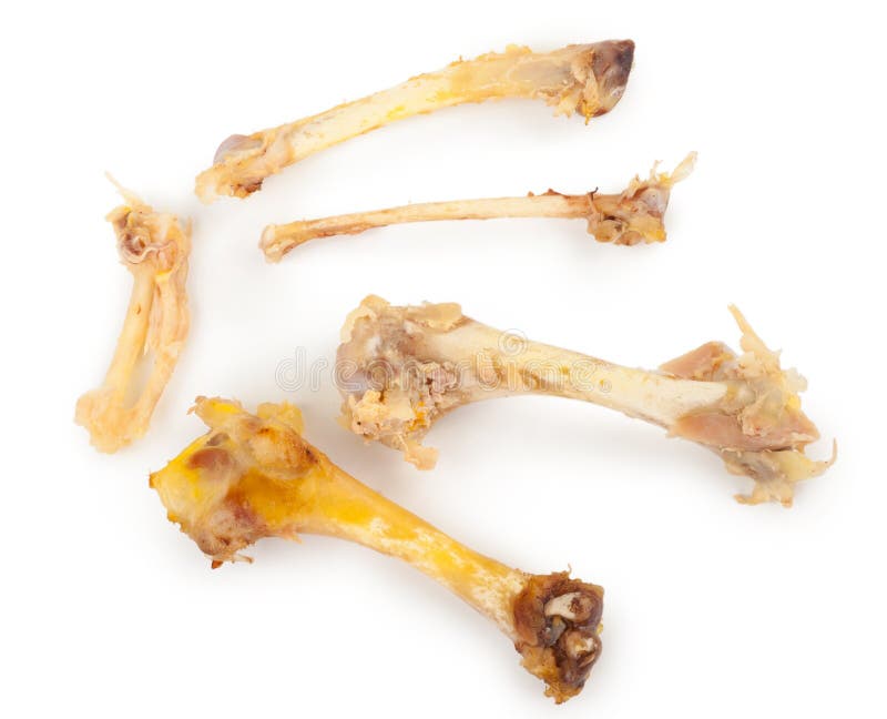 Chicken bones stock image. Image of white, bones, shot - 100838239