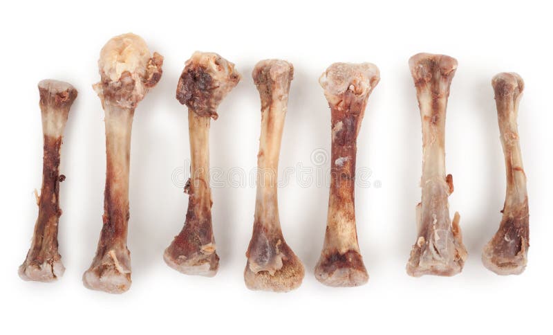 Chicken bones stock image. Image of meat, skeleton, drink - 129608045