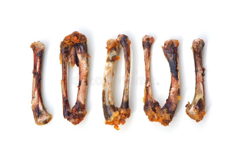 Chicken Wing Meat Isolated on White Background Stock Image - Image of ...