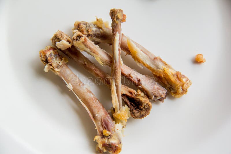 Chicken bones. stock photo. Image of finished, health - 57893538