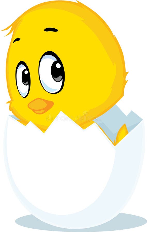 Chicken Born from Eggshell - Vector Illustration Stock Vector ...