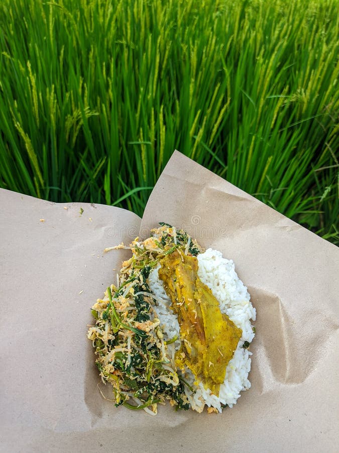 Chicken Breakfast on a Beautiful Morning Stock Photo - Image of ...