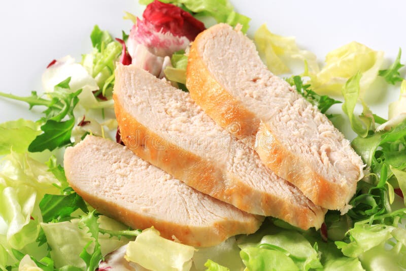 Chicken breast fillet stock photo. Image of plate, garnish - 25854838