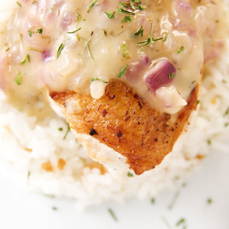 Chicken Breast Fillet with Lemon Thyme Sauce Stock Photo - Image of ...