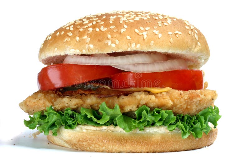 Chicken burger stock photo. Image of onion, grill, food - 3329652