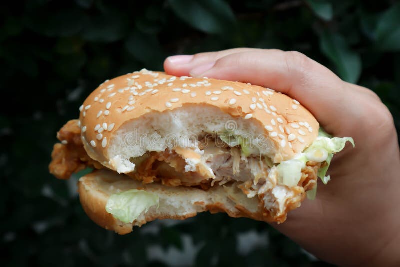 Chicken Burger, Eating Burger Stock Image - Image of holding, meal ...
